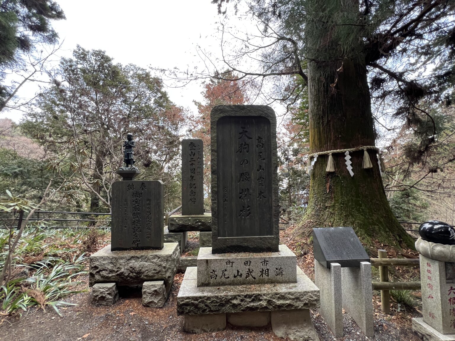 天狗の腰掛杉 - 高尾山ナビ