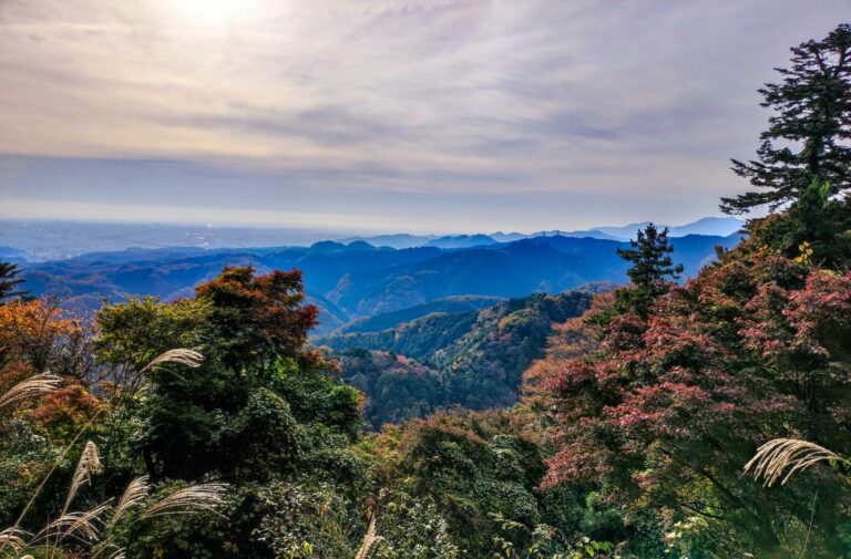 【5月31日 山頂20.2℃】高尾山の天気｜リアルタイム気温と登山指数