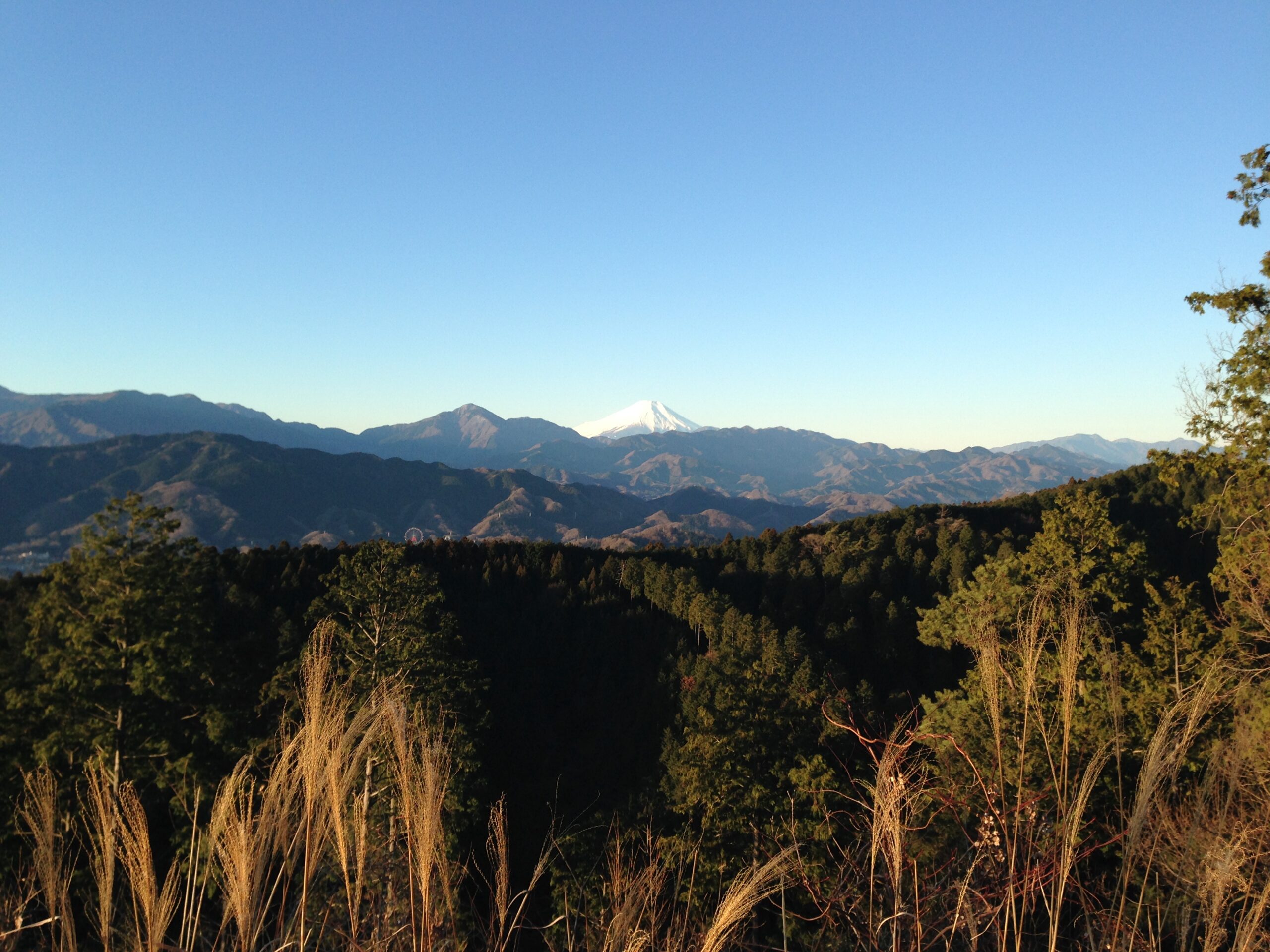 【2025年最新】高尾山もみじ台 完全ガイド | 山頂から10分の絶景へ。アクセス、見どころ、注意点まとめ - 高尾山ナビ
